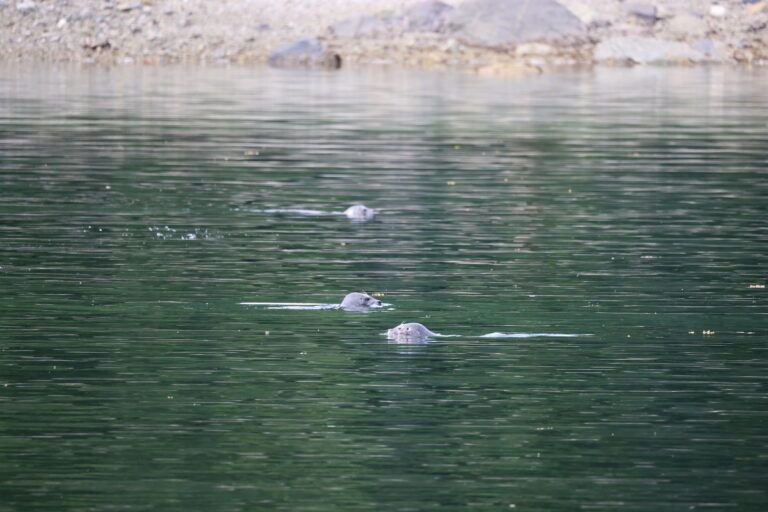 Maps - PSF Marine Data Centre