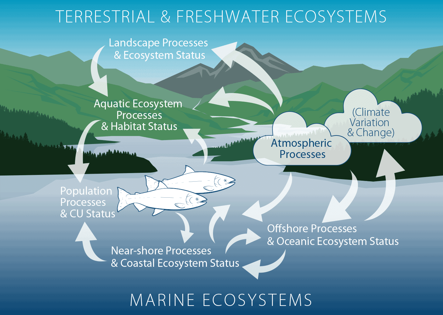 Risk Assessment Method for Salmon - PSF Marine Data Centre