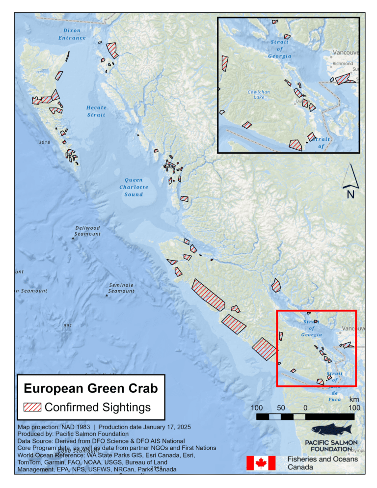 European Green Crab - PSF Marine Data Centre