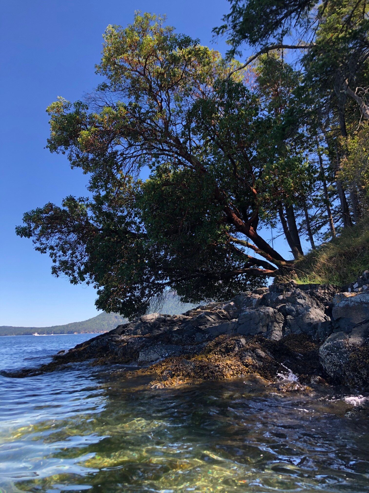 Maps - PSF Marine Data Centre